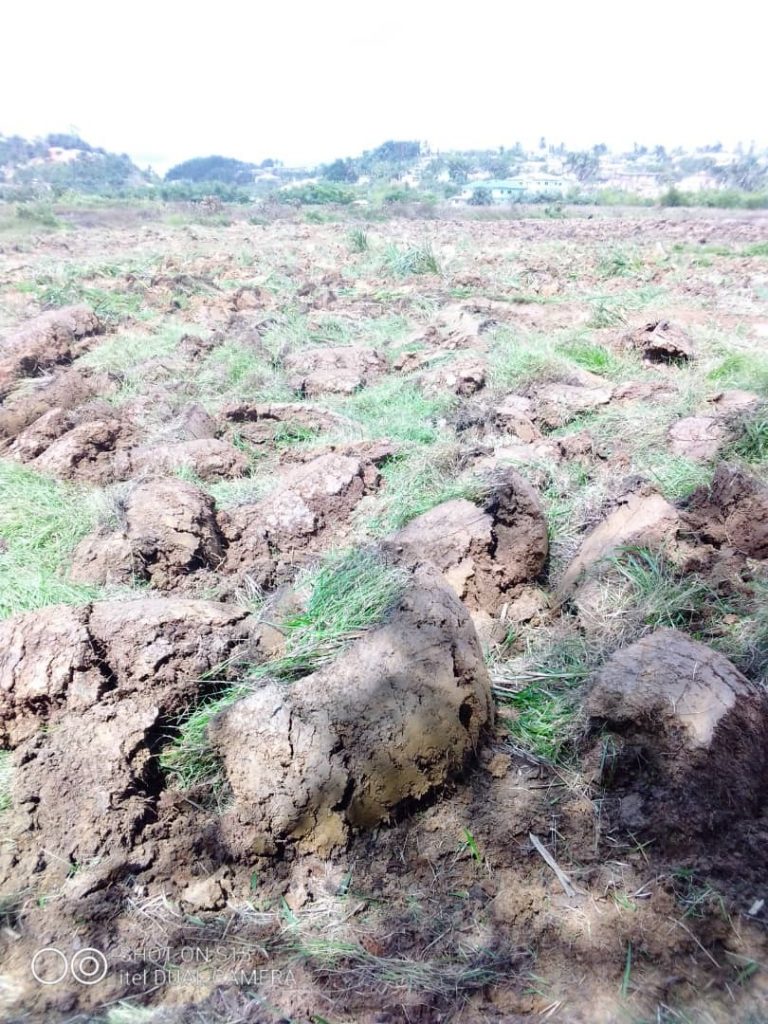 PLANTING FOR FOOD AND JOBS ACTIVITIES FOR 2019 - Tarkwa Nsuaem ...